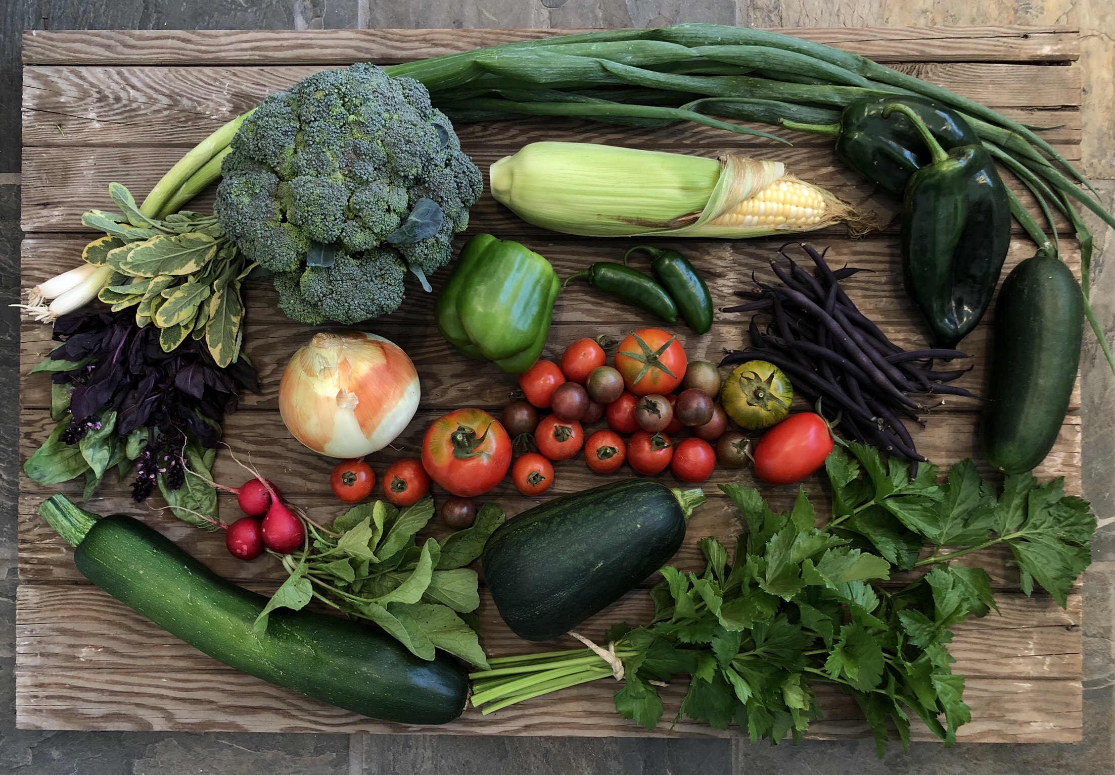 Alumni Spotlight: TJ Silva & Carli Cullen of All Good Things Farm