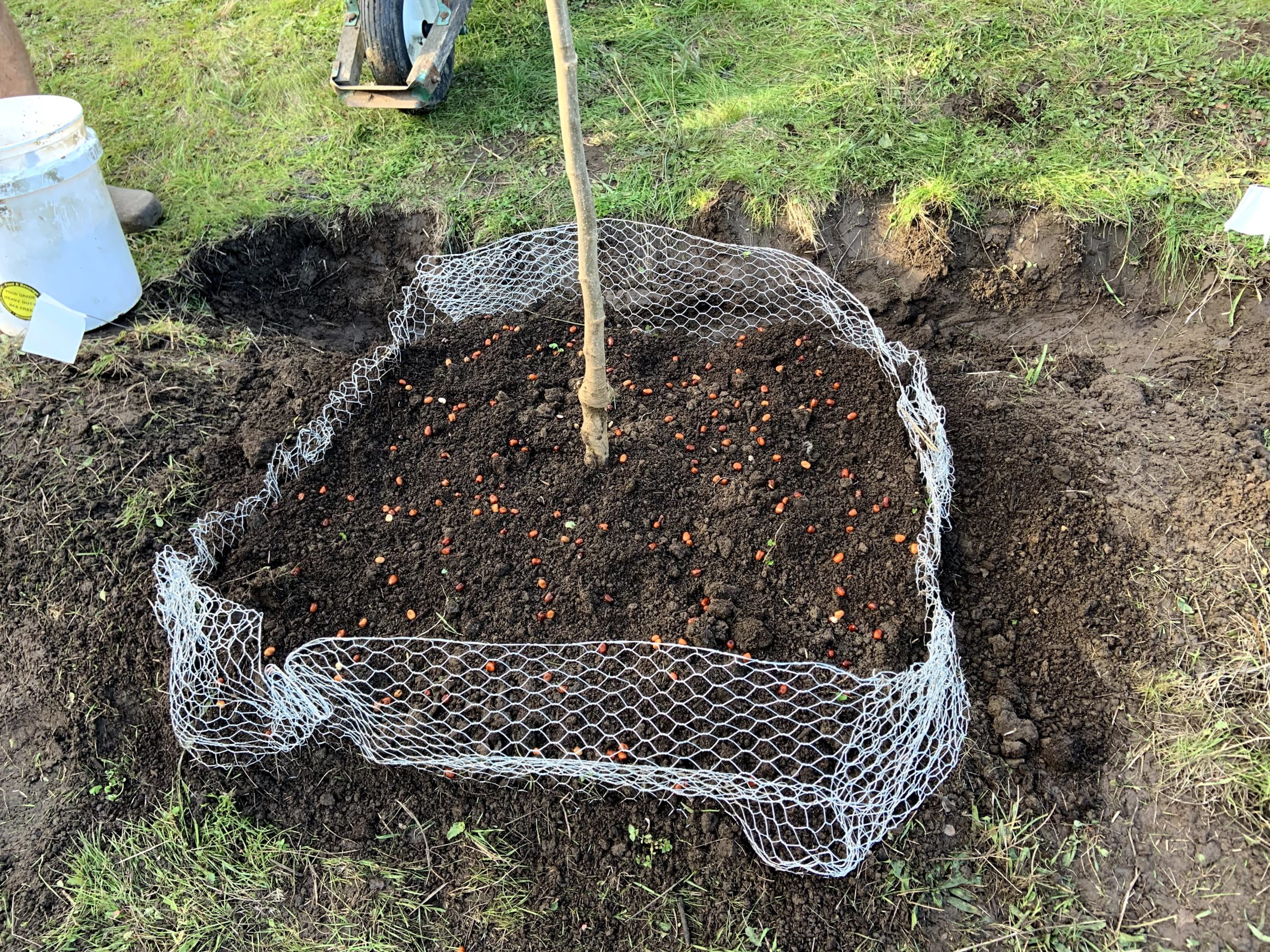 IMG_7573 - Santa Cruz Permaculture