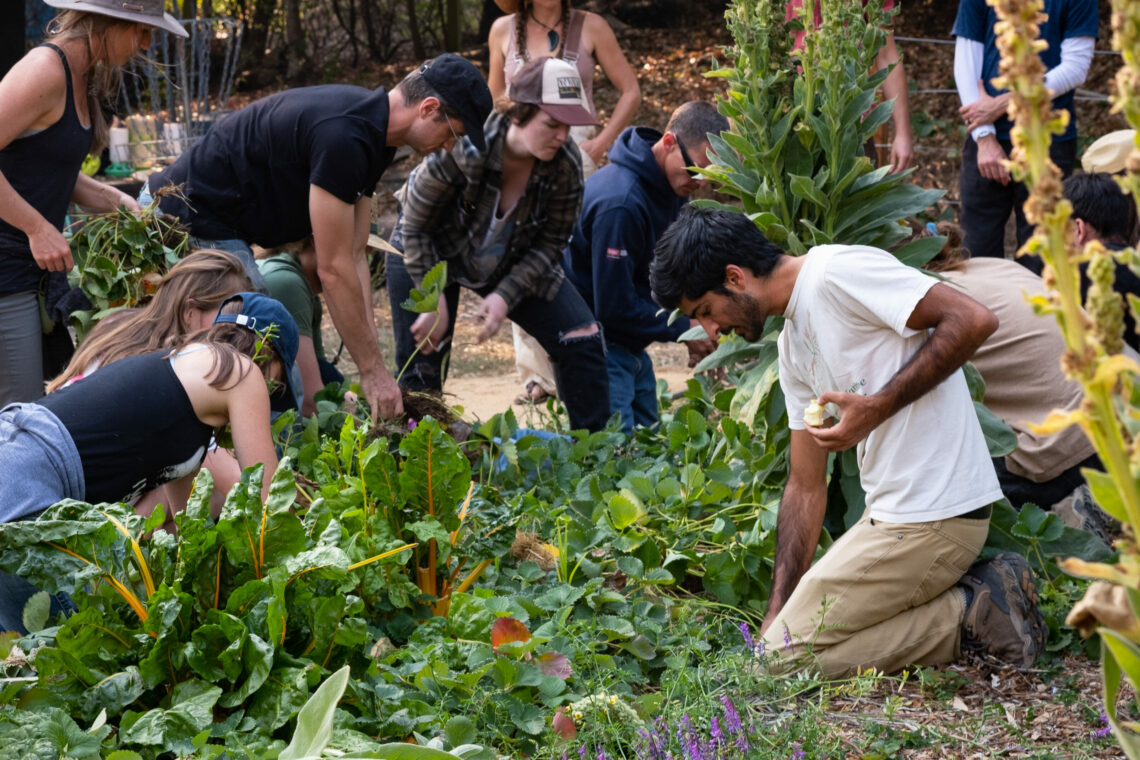 Dirt Time - Santa Cruz Permaculture