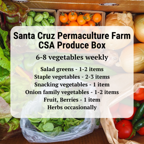 SCP CSA Box - Santa Cruz Permaculture
