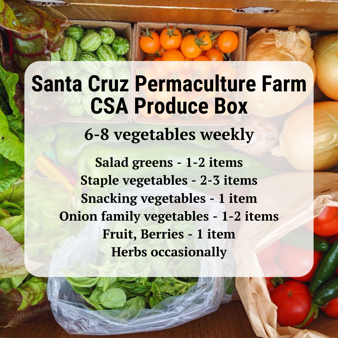Local Farm Box - Santa Cruz Permaculture