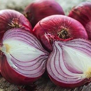 Onion 'Red Candy' - Santa Cruz Permaculture