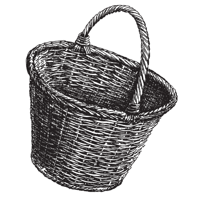 Willow Basket Weaving - Santa Cruz Permaculture